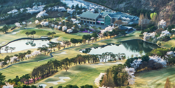 Top 7 Cherry Blossom Golf Course Field Recommendations for 2024 ...