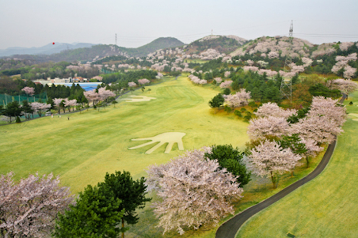 Top 7 Cherry Blossom Golf Course Field Recommendations for 2024 ...