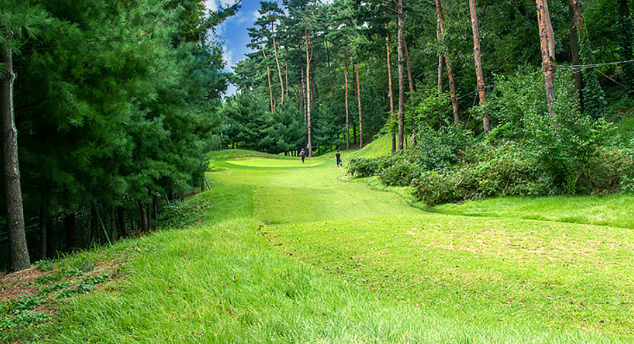 골프 연습하기 좋은 파3 골프장 추천 수도권 편 김캐디 골프 정보